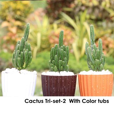 Brikkho Hat Cactus Tri Set - 2 ( White, Chocolate, Orange) - 208 ...