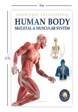 Human Body - Skeletal And Muscular System: Wonder House Books ...