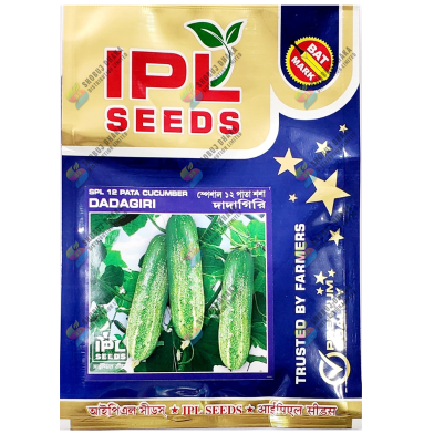 Special 12 Pata Sosha Dadagiri Intact Pack - 10gm: Organic Seeds ...