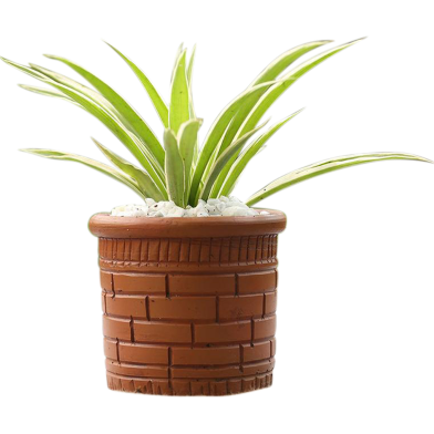 Waving Spider (S) With Regular 5 Inch Clay Pot - 420 : Brikkho Haat ...